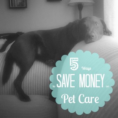 5 Ways to Save Money on Pet Care - Domestically Creative